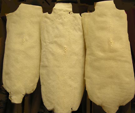 'Stingray skin'